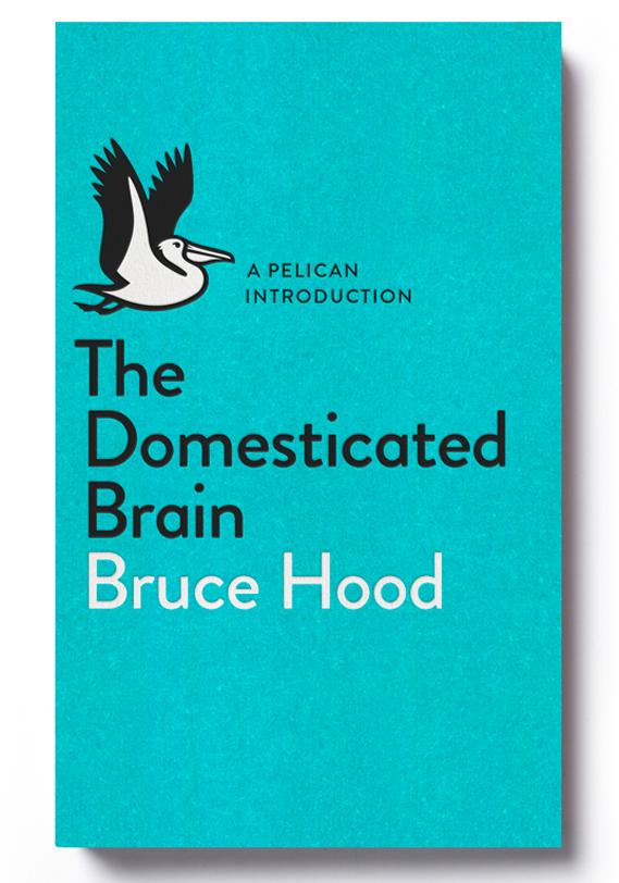 Pelican Books + Subtraction.com